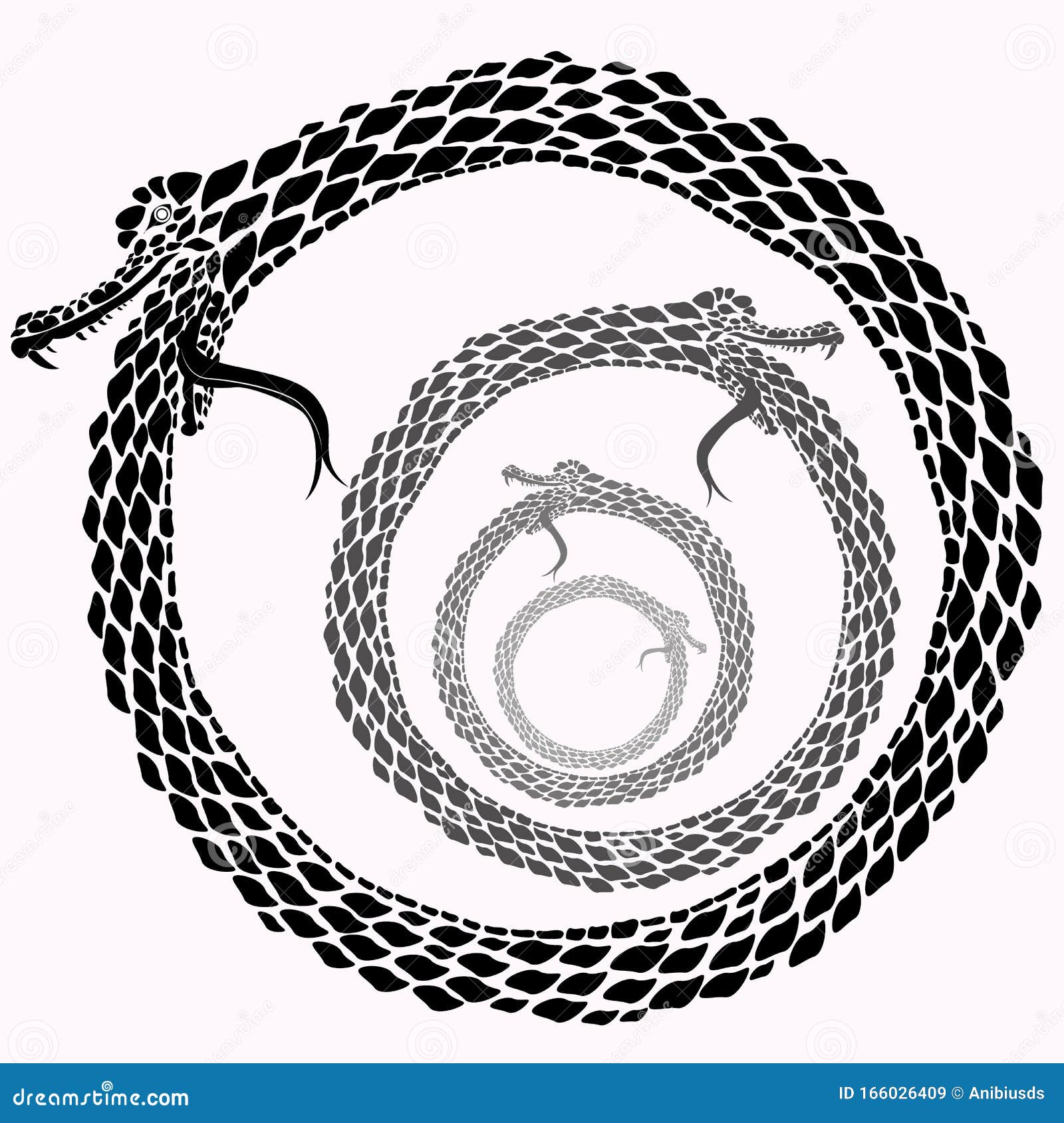 Ouroboros endless loop stock vector. Illustration of eating - 166026409