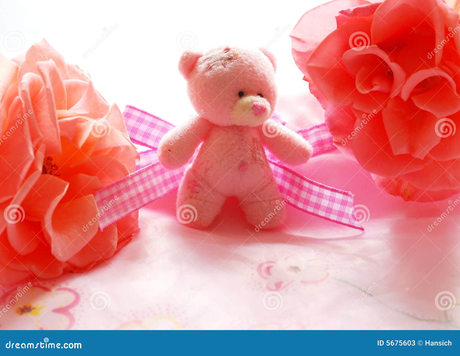 Ours de nounours image stock. Image of petit, pièce, fleur - 5675603