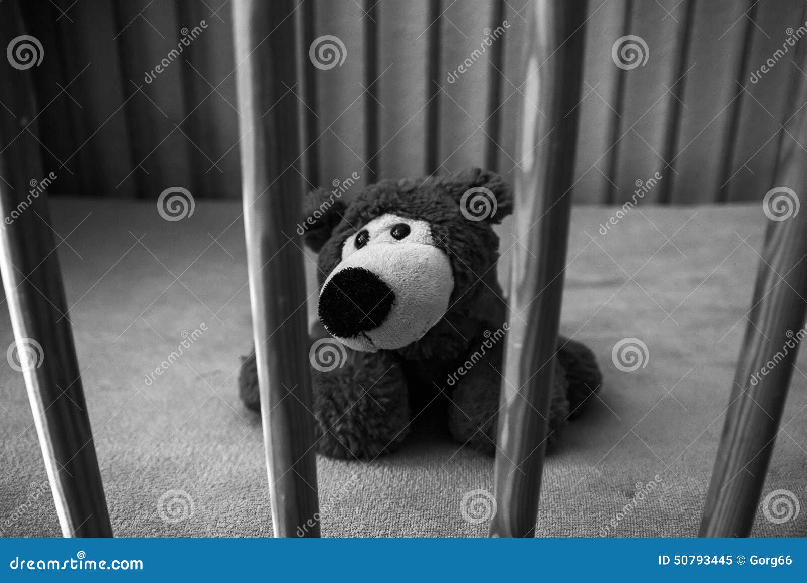 Ours De Nounours Solitaire Triste Image stock - Image du triste ...