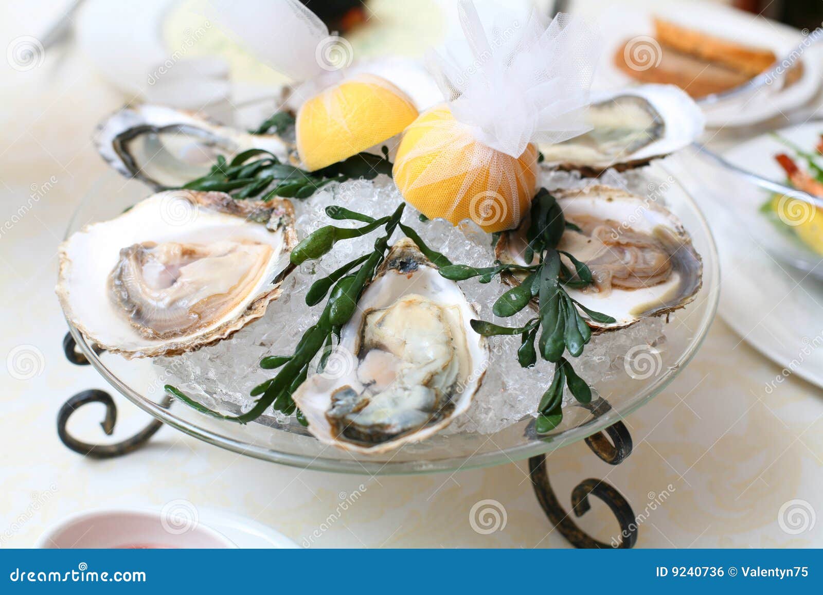 Ouster stock photo. Image of food, luxury, dish, marine - 9240736