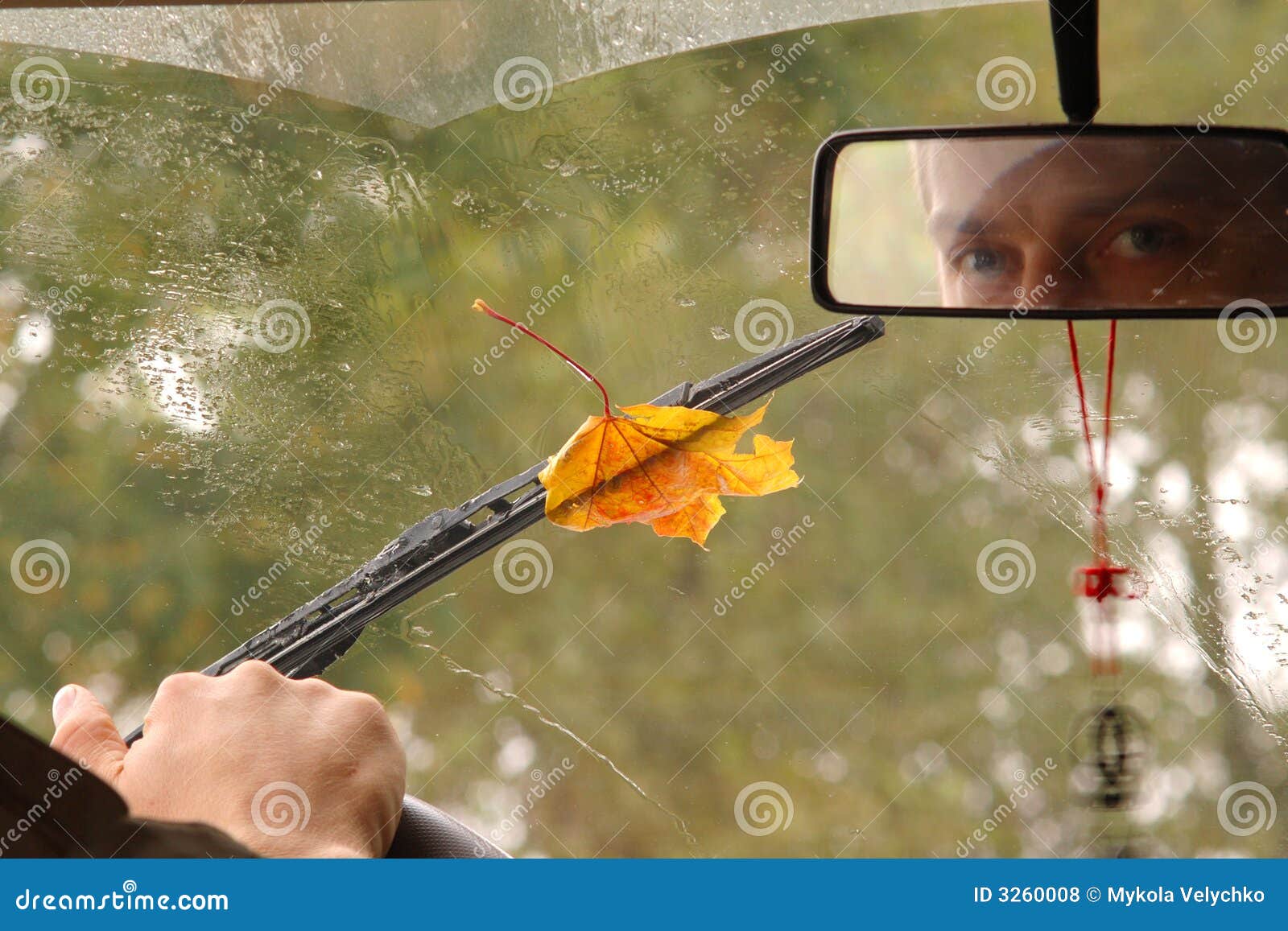 Out car window stock photo. Image of auto, look, yellow - 3260008
