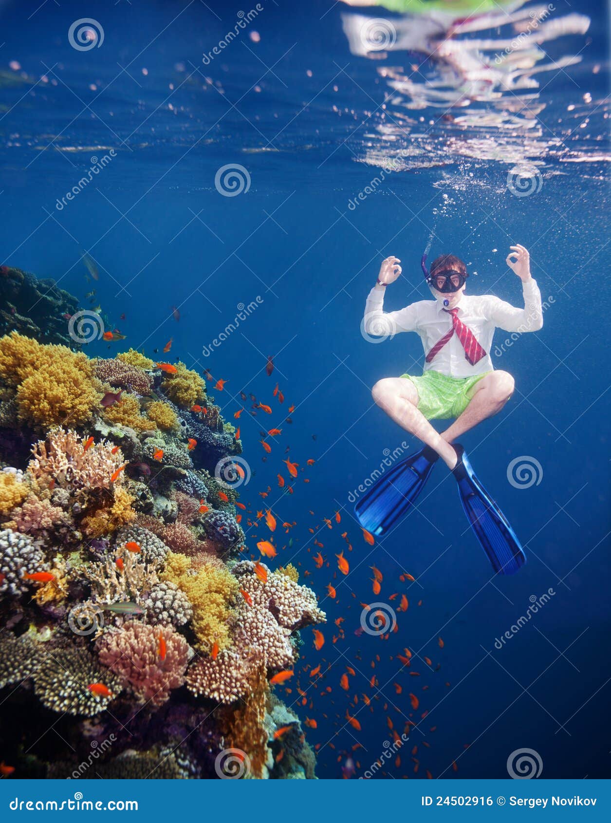 152 Comfort Zone Fish Stock Photos - Free & Royalty-Free Stock Photos ...