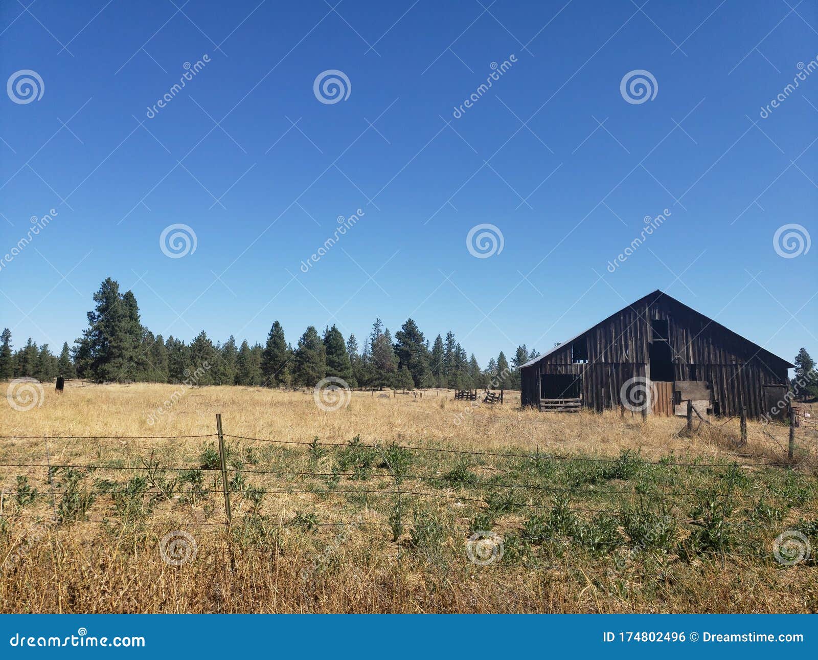 Out in the country stock photo. Image of country, passion - 174802496
