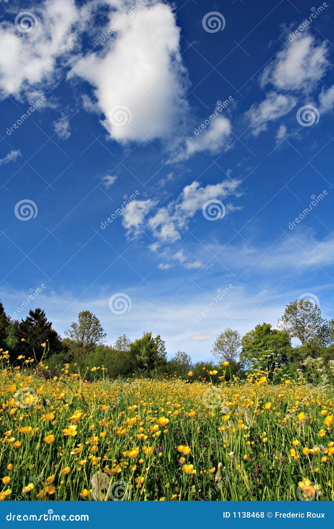 Out in the fields stock photo. Image of beautiful, mountain - 1138468