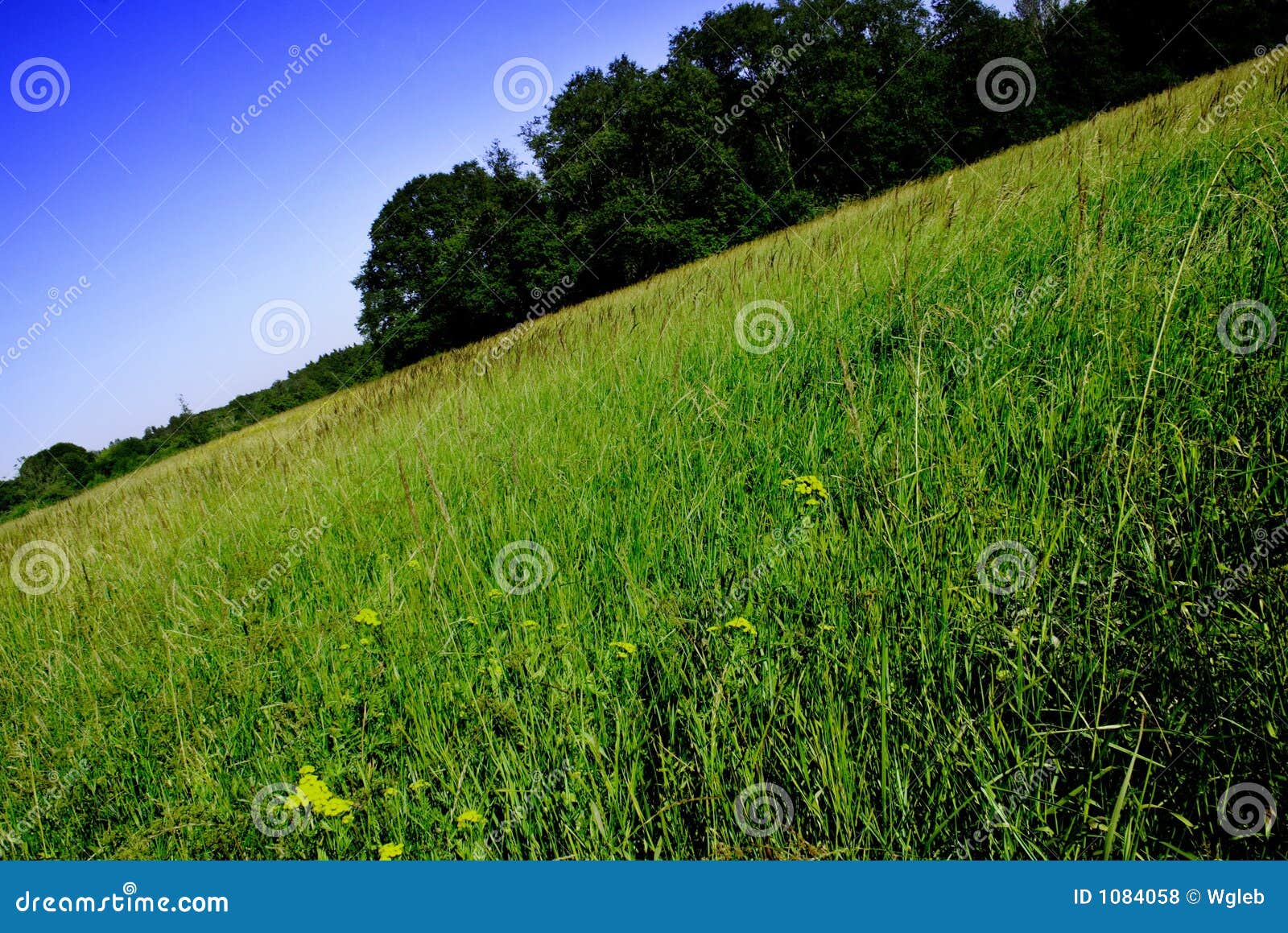 Out in the Fields (Summer Day) Stock Photo - Image of warm, field: 1084058