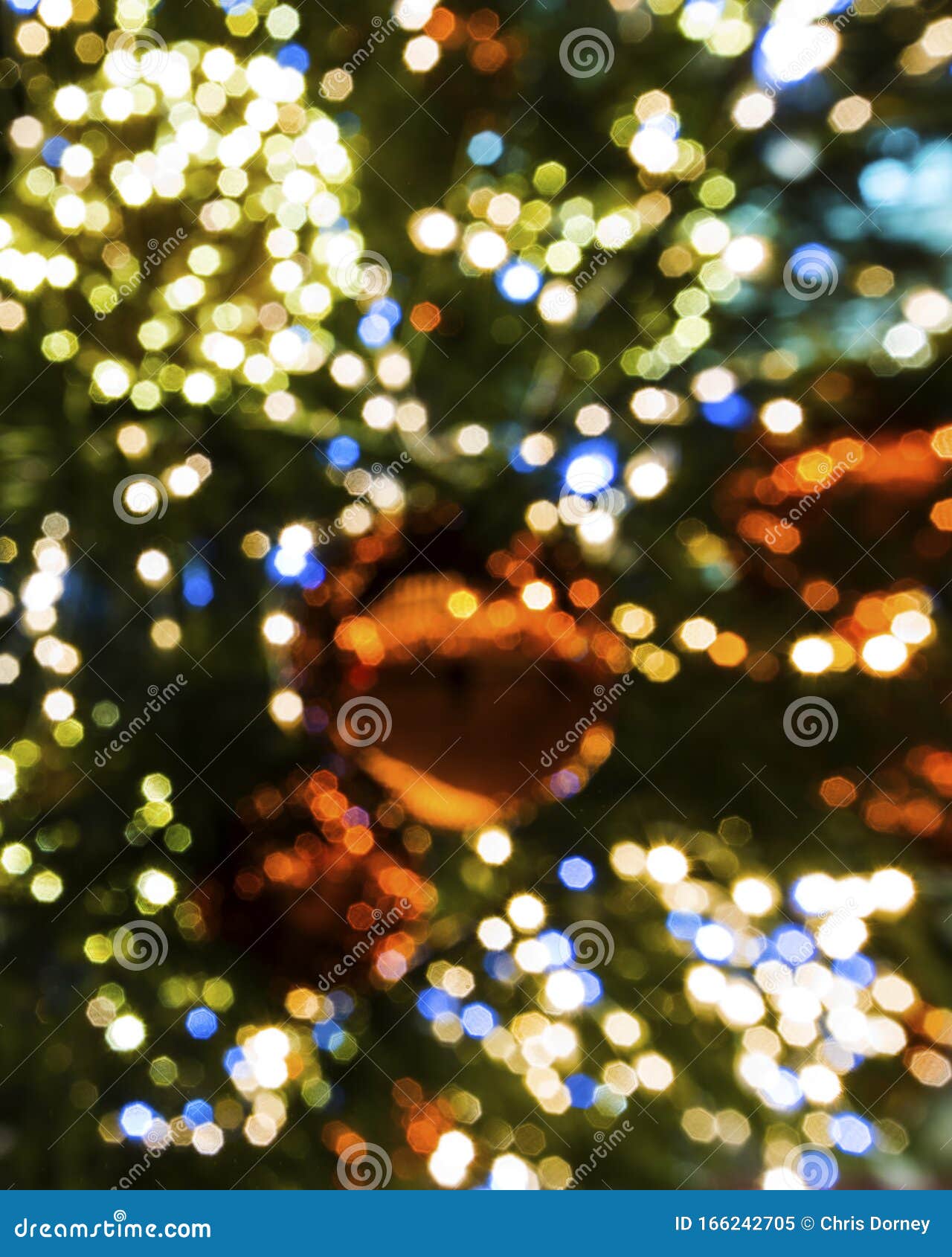 Out of Focus Christmas Lights Stock Image - Image of illuminated, tree ...