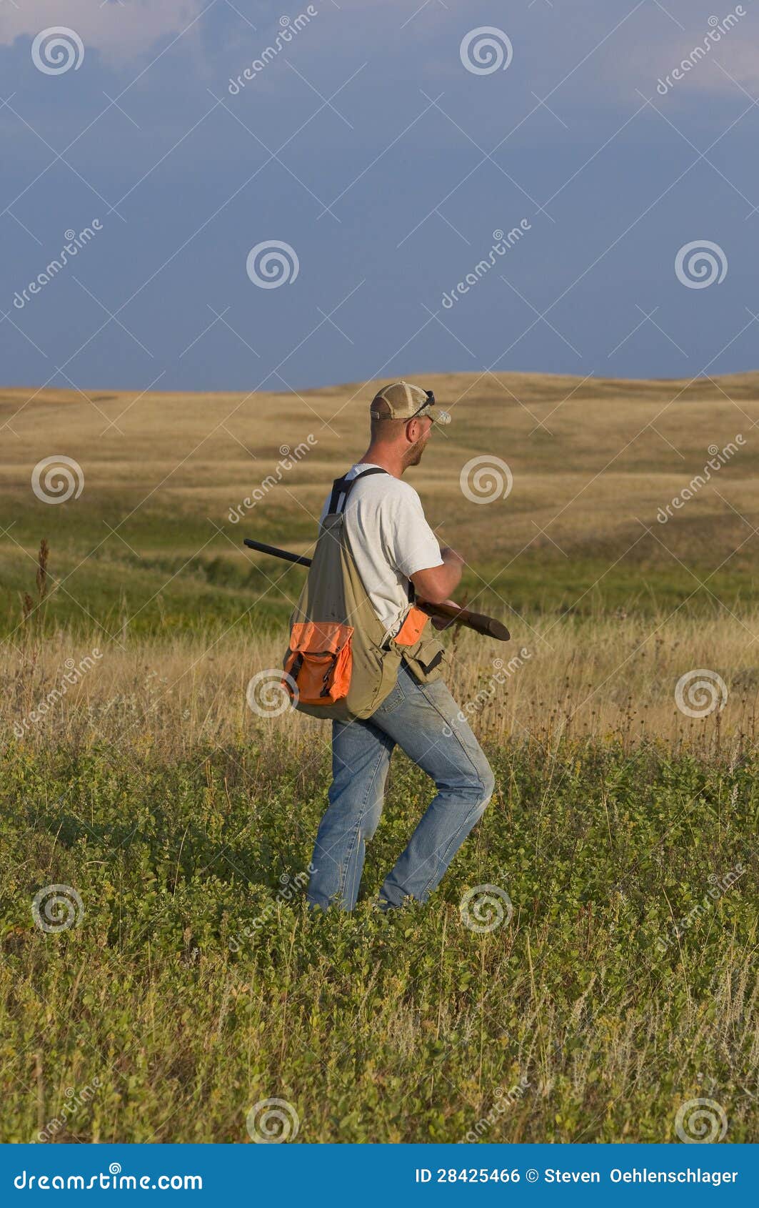 Out Hunting stock photo. Image of pheasant, shooting - 28425466