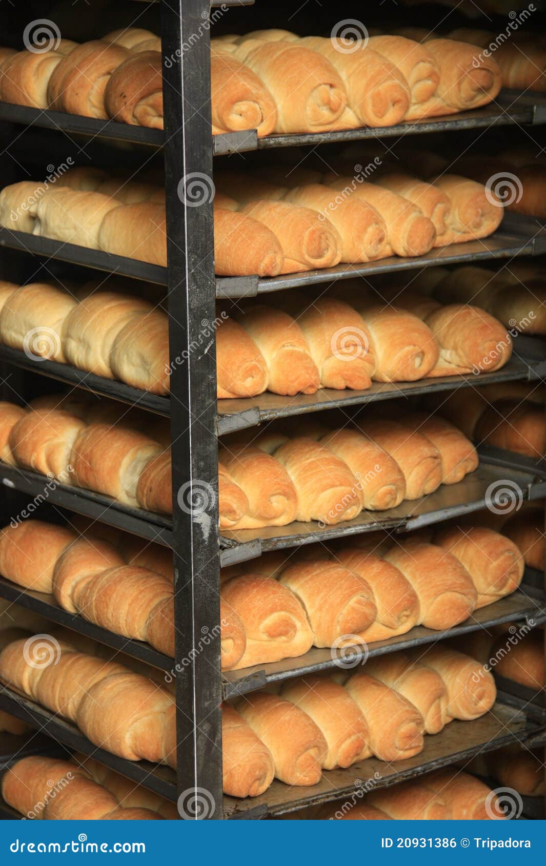 Out of the oven stock photo. Image of breakfast, biscocho - 20931386