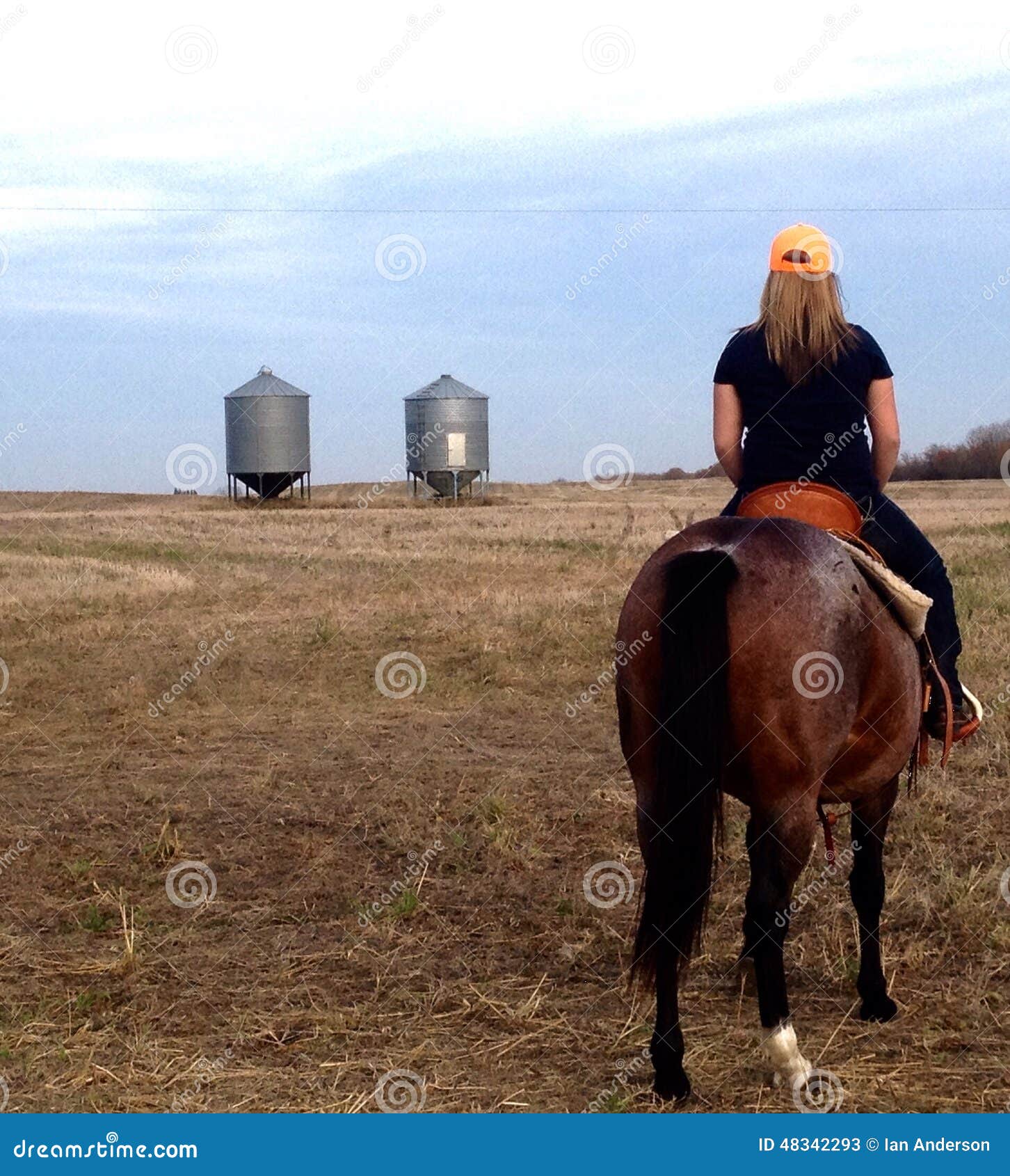Out for a rip editorial stock photo. Image of canada - 48342293