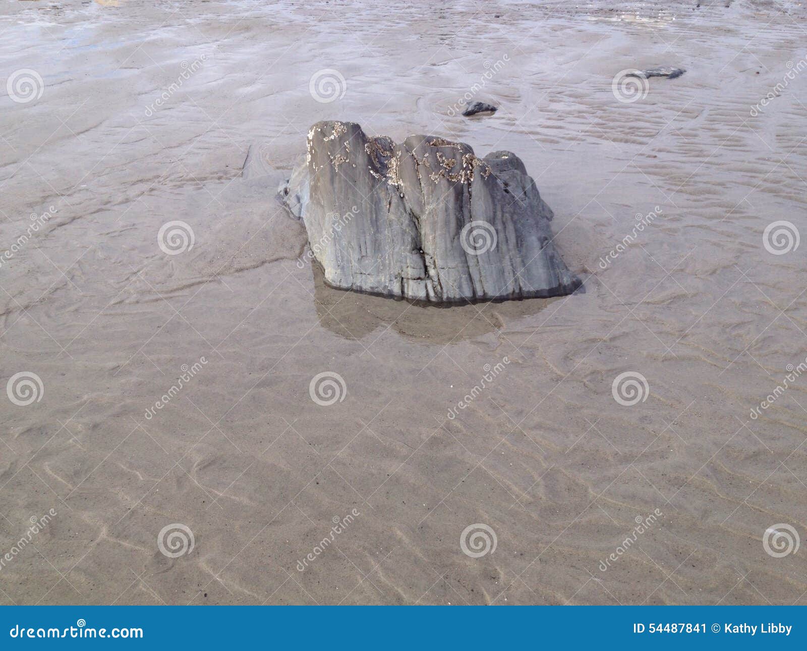 Out of the sand stock image. Image of sticking, sand - 54487841