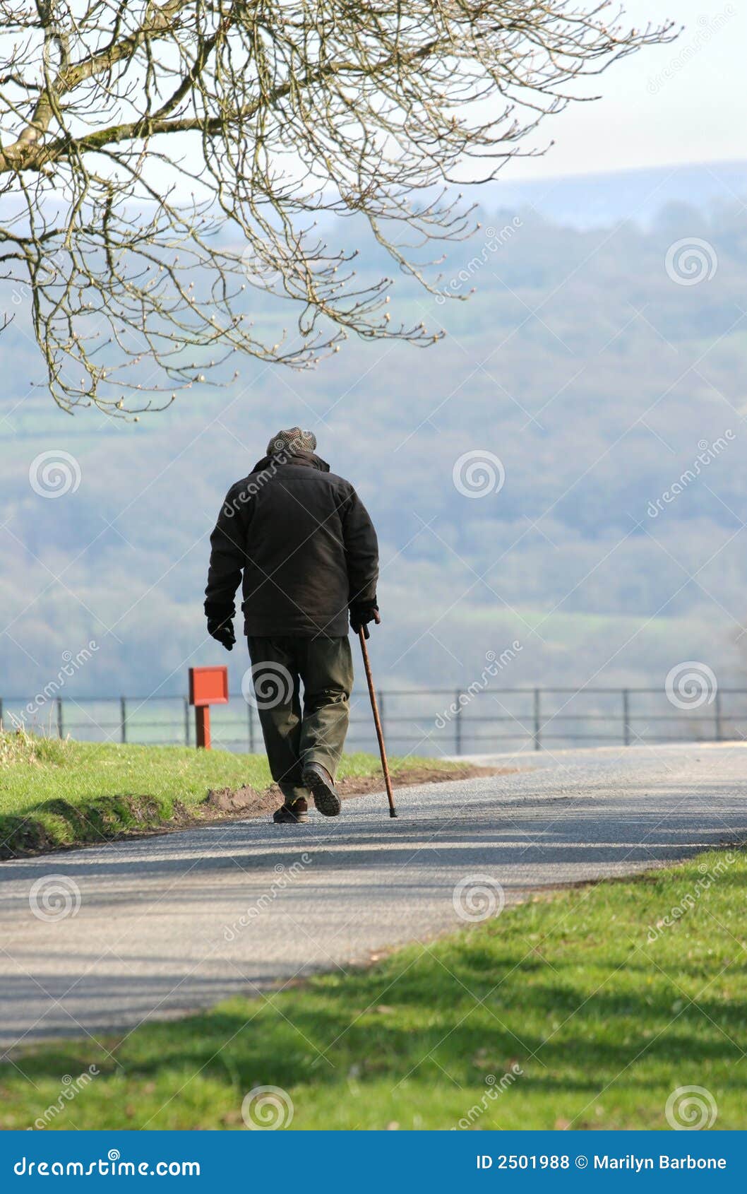 Out for a Stroll stock photo. Image of illness, people - 2501988