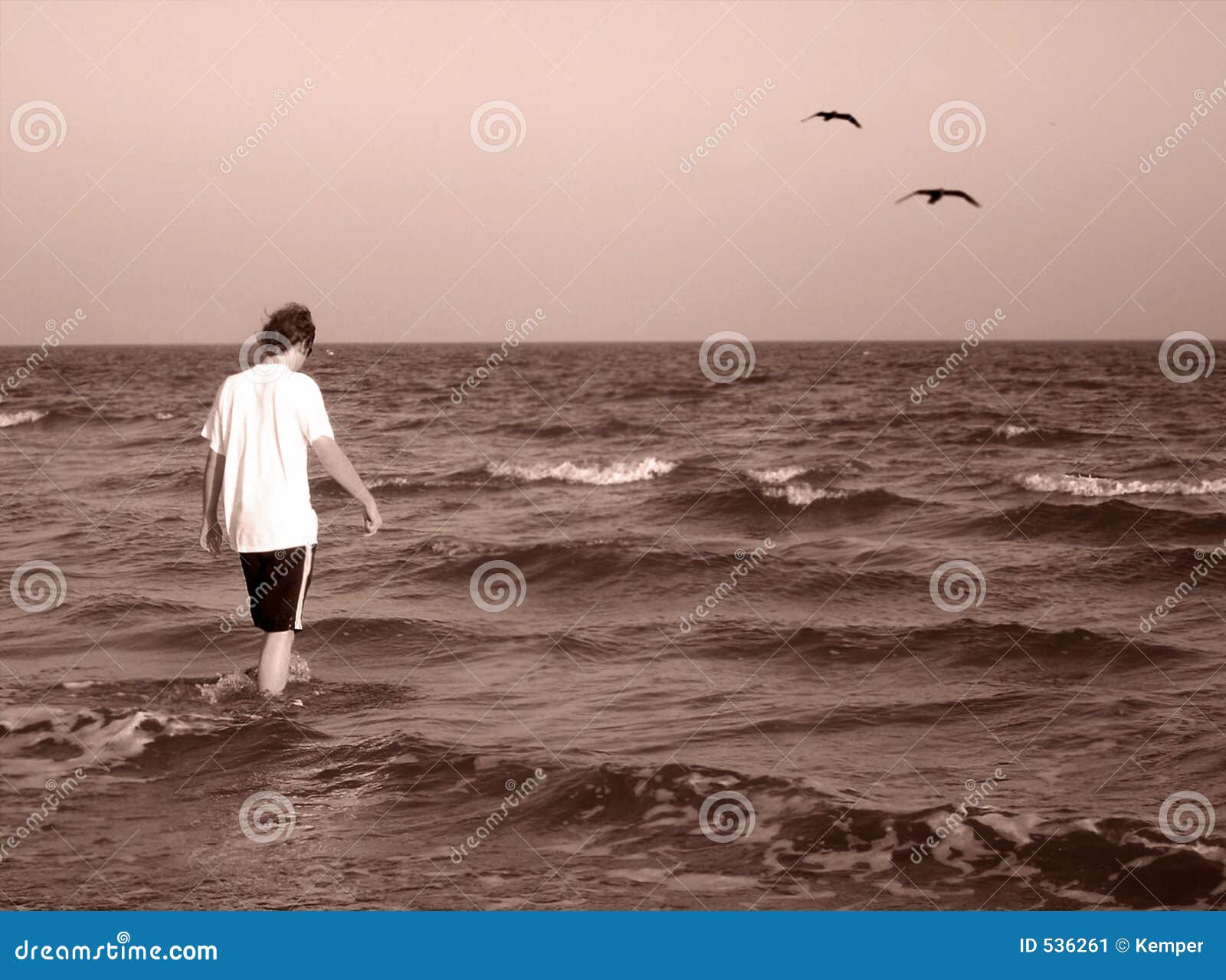 Out to Sea stock image. Image of bird, nature, people, ocean - 536261