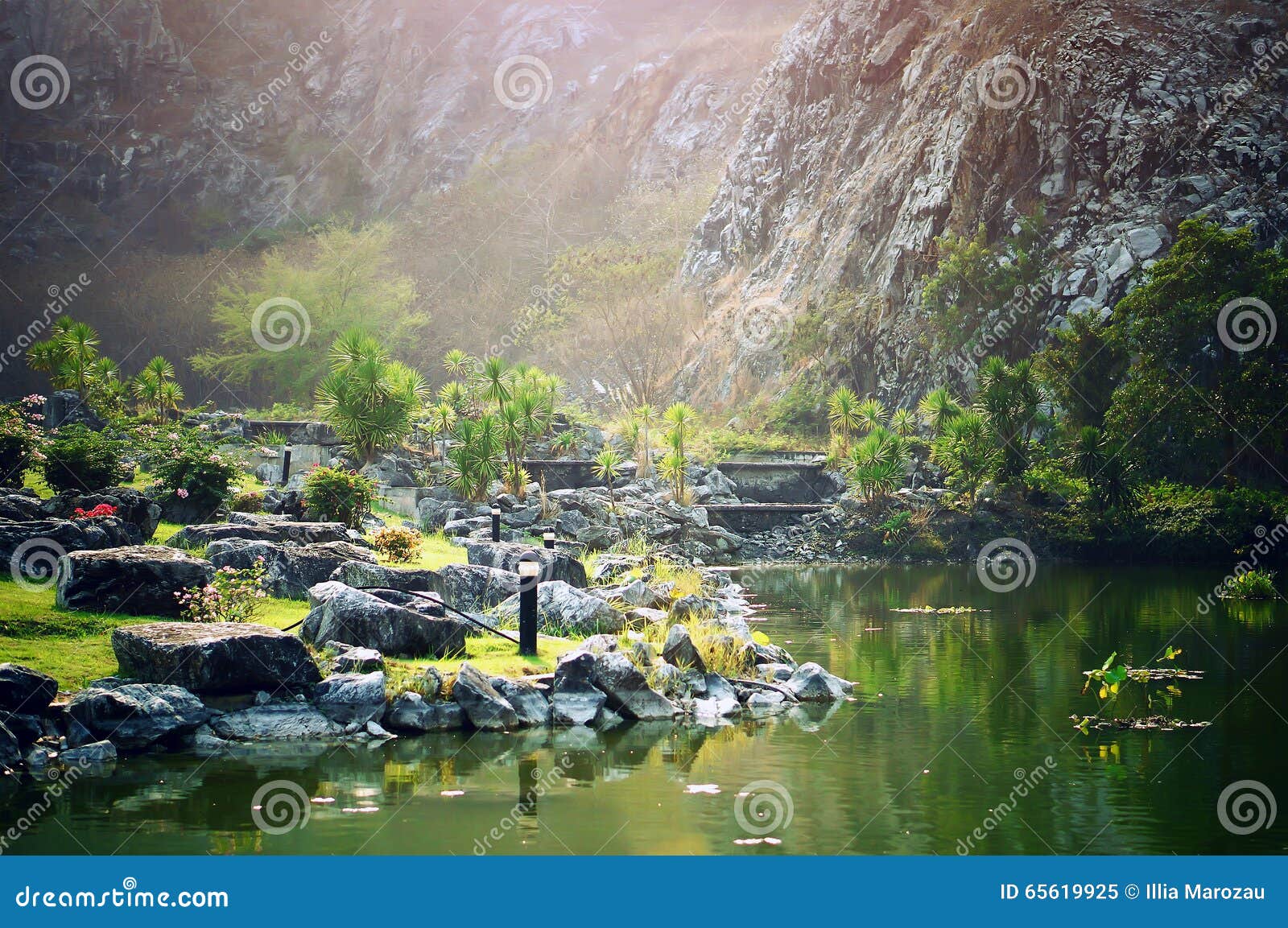 Out in the Wild and Overlooking a River with Tree Reflections Stock ...