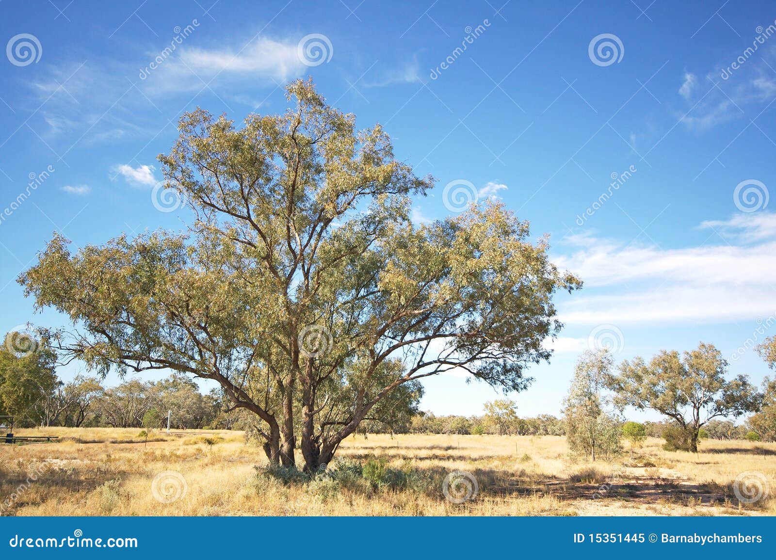 The Outback stock image. Image of blue, national, aussie - 15351445