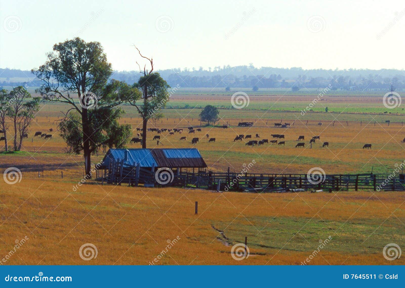 Outback stock image. Image of summer, australia, rural - 7645511
