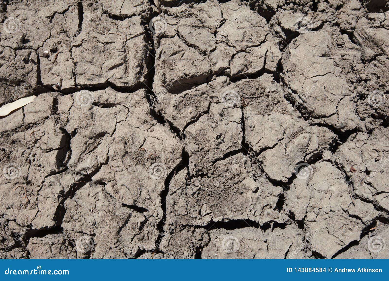Dry Cracked Mud Forming Pattern Stock Photo - Image of drought, geology ...