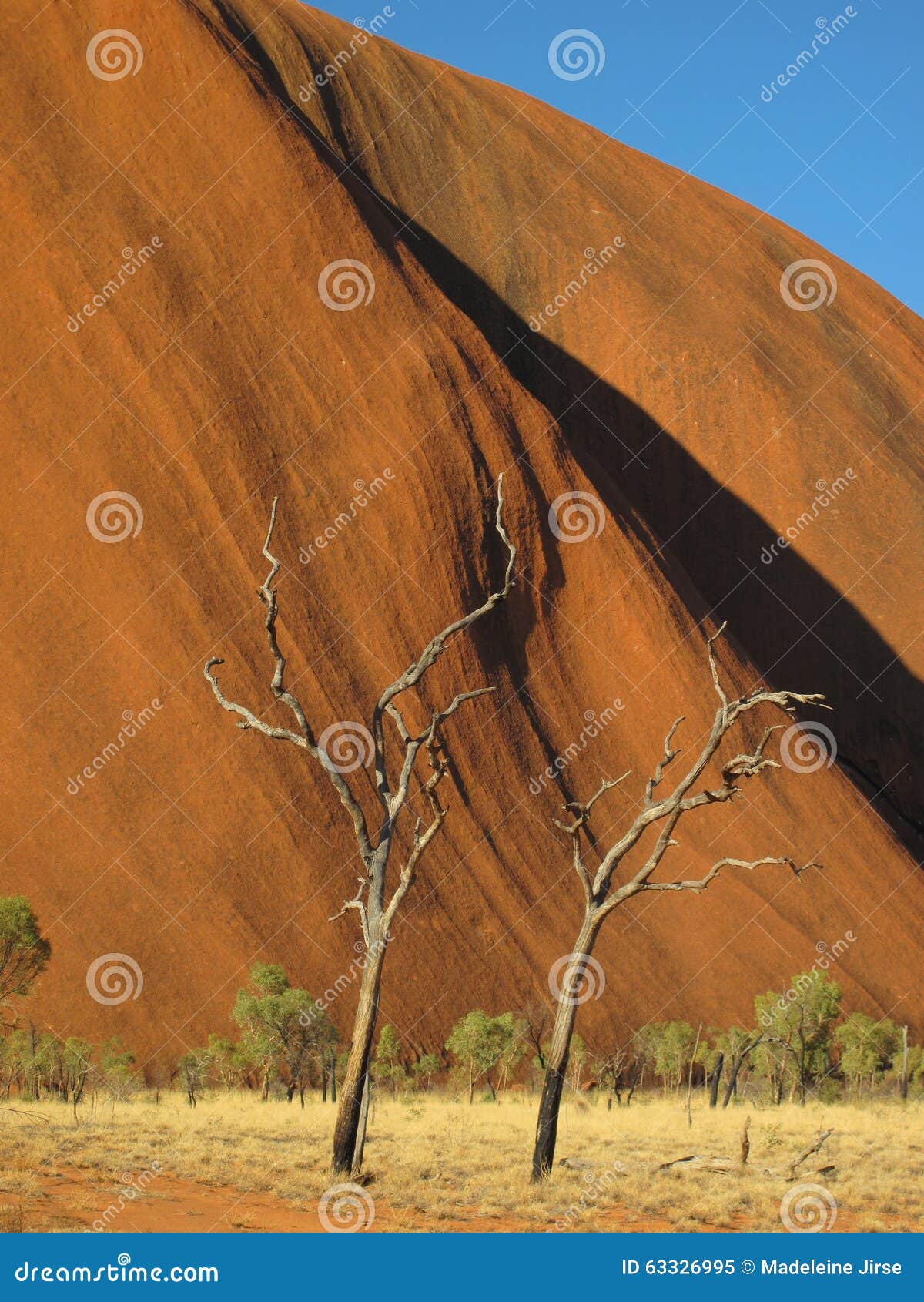 Outback Australia stock image. Image of australia, tree - 63326995
