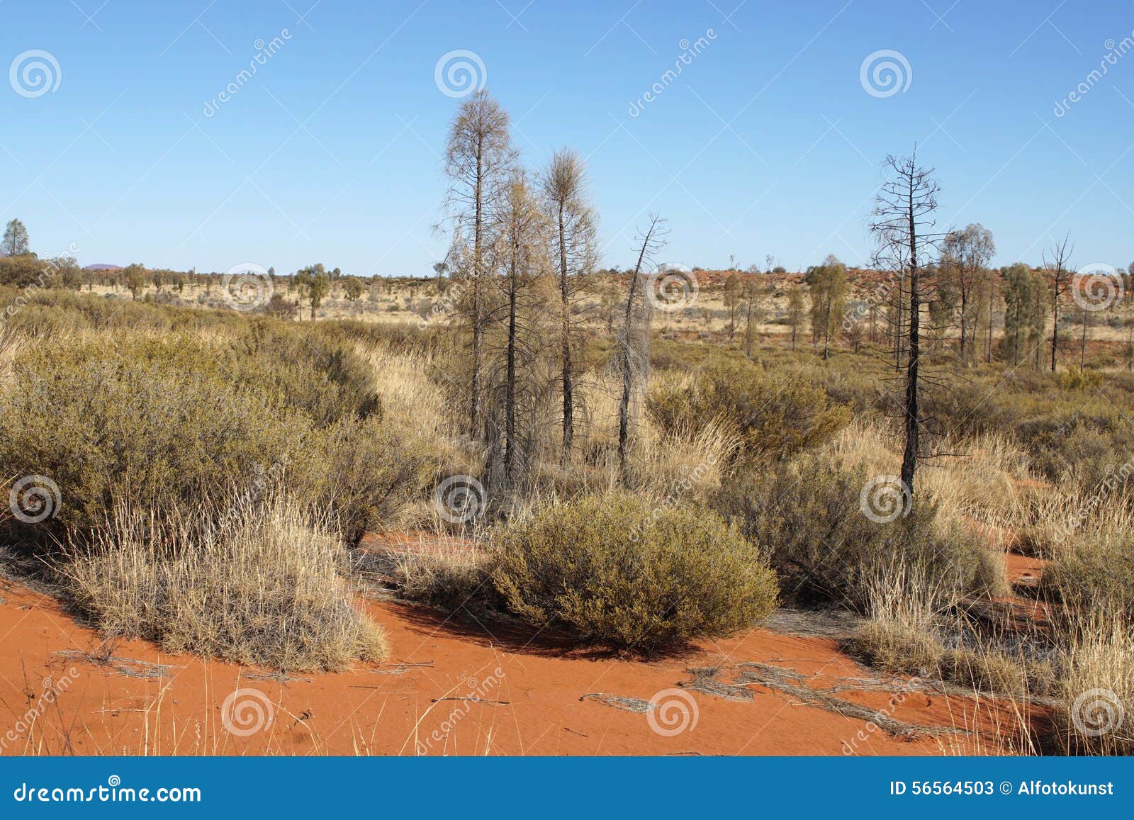 Northern Territory, Australia Stock Image - Image of flora, climate ...