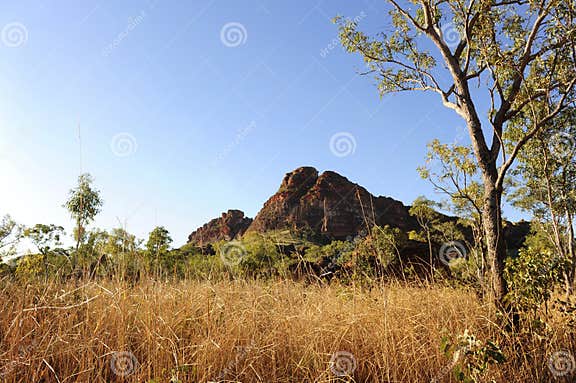 Outback Bush Land stock photo. Image of bushland, copy - 19625924