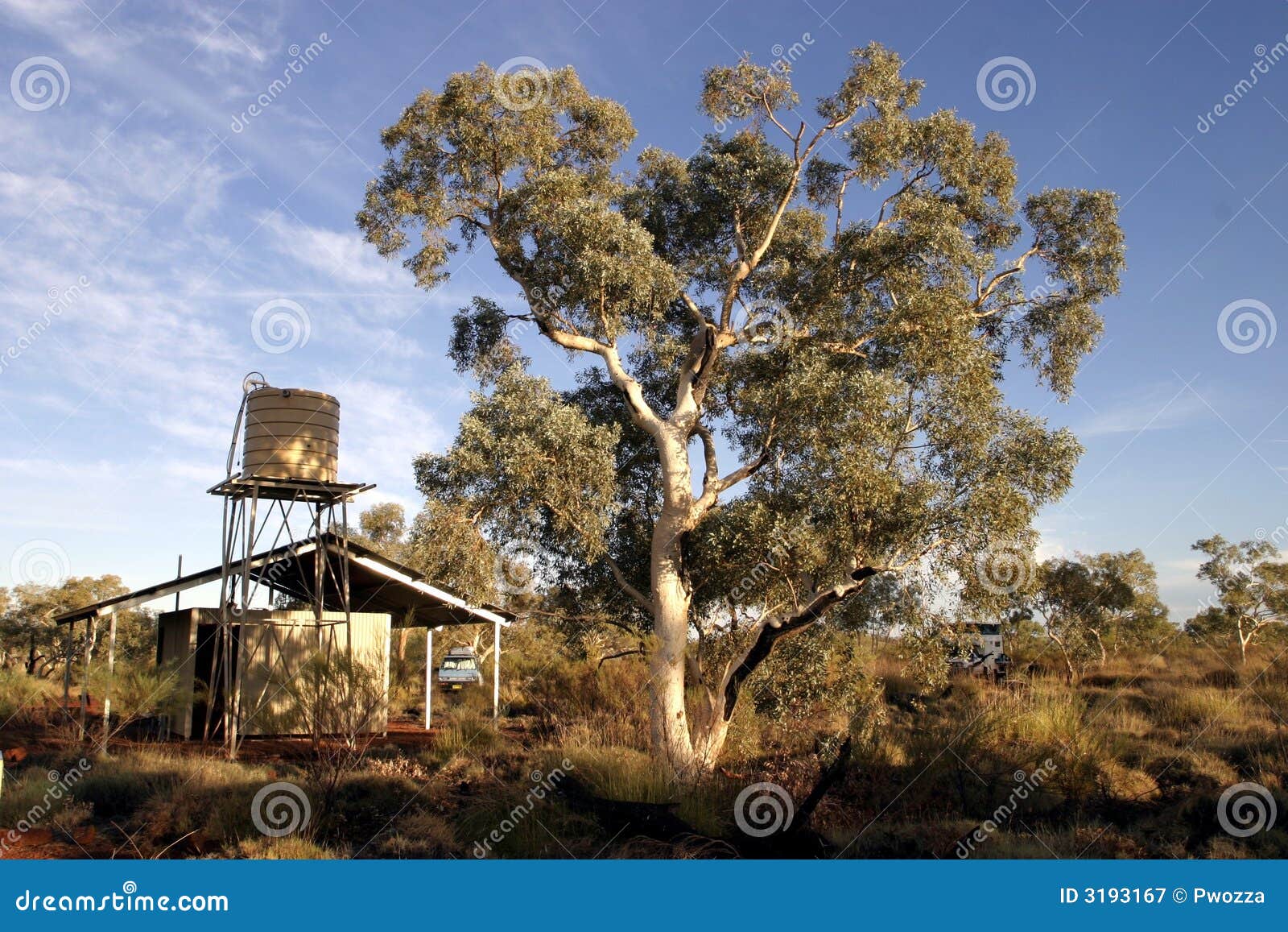 Outback Camp stock image. Image of camping, eucalypt, outback - 3193167
