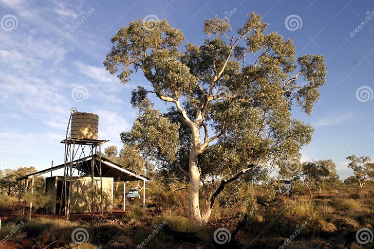 Outback Camp stock image. Image of camping, eucalypt, outback - 3193167