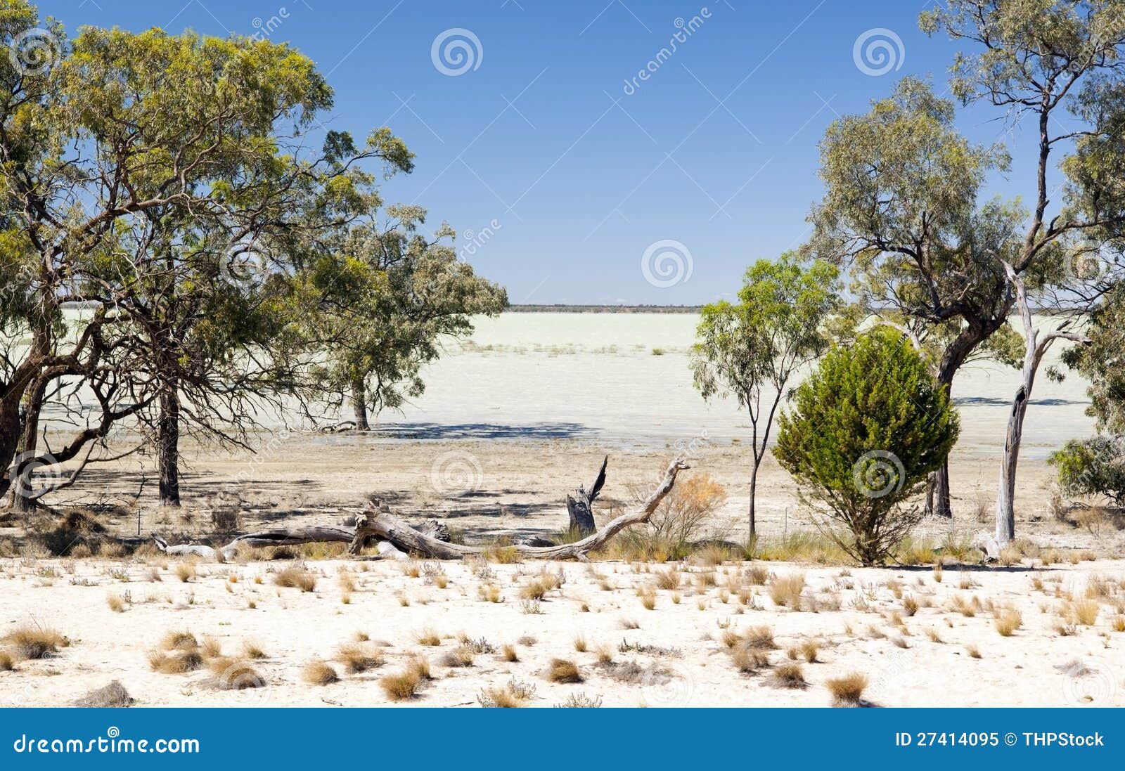 Outback Lake stock image. Image of trees, lake, drought - 27414095
