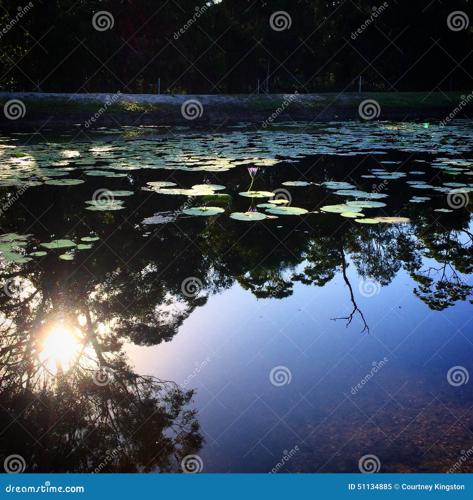 Outback lake stock image. Image of lake, reflecting, outback - 51134885