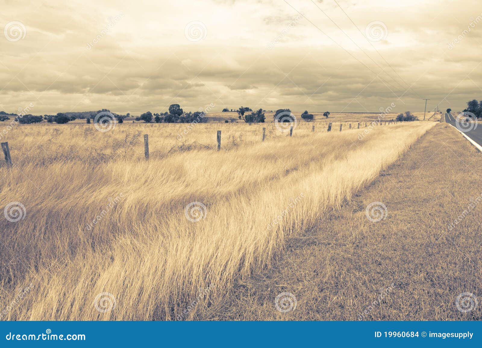 Outback Landscape stock photo. Image of australia, earth - 19960684