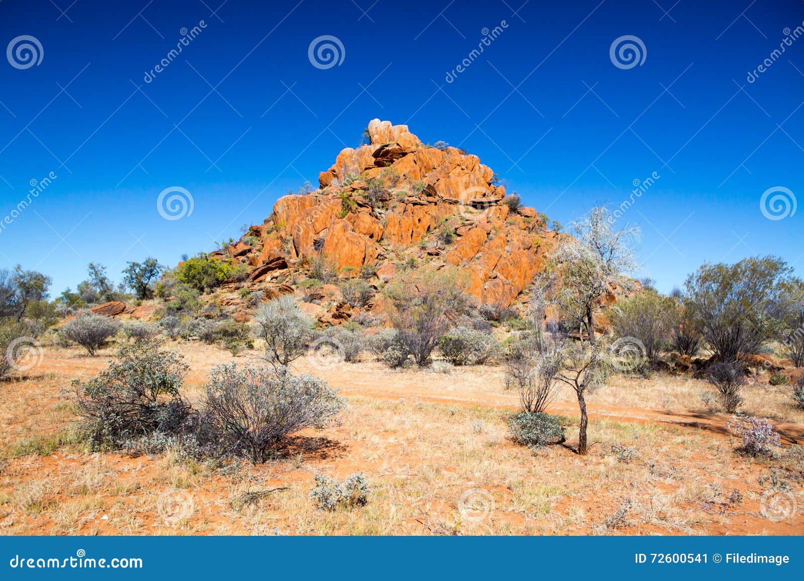 Outback Landscape in Summer Stock Image - Image of arid, bush: 72600541