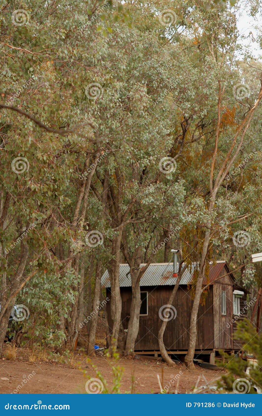 Outback shack stock photo. Image of trees, solitary, sustainable - 791286