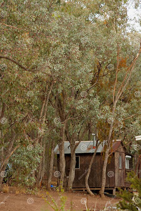 Outback shack stock photo. Image of trees, solitary, sustainable - 791286