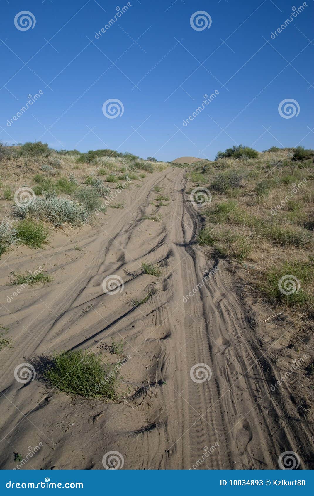 Outback Track stock image. Image of empty, humus, country - 10034893