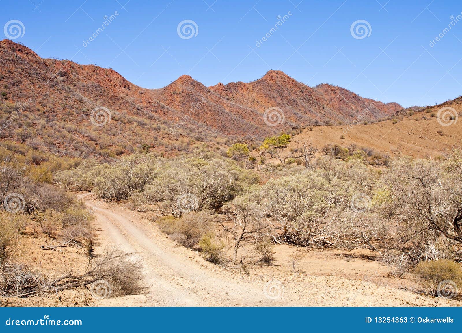 Outback track stock image. Image of land, colour, bush - 13254363