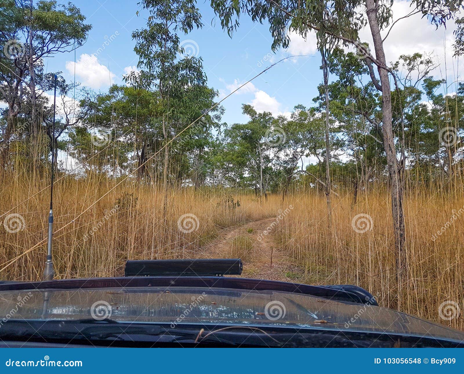 Outback track stock photo. Image of land, muddy, park - 103056548