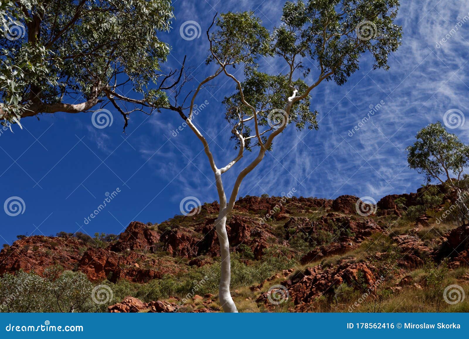 In the Outback 2016 stock photo. Image of asphalt, macdonnels - 178562416