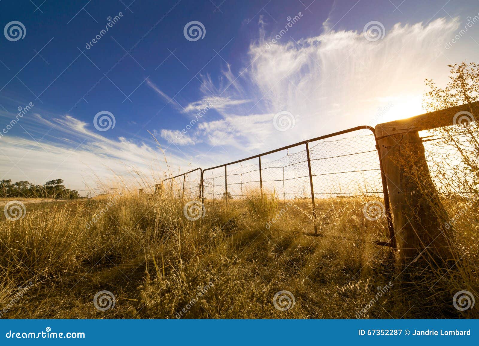 Outback stock image. Image of outback, land, summer, country - 67352287