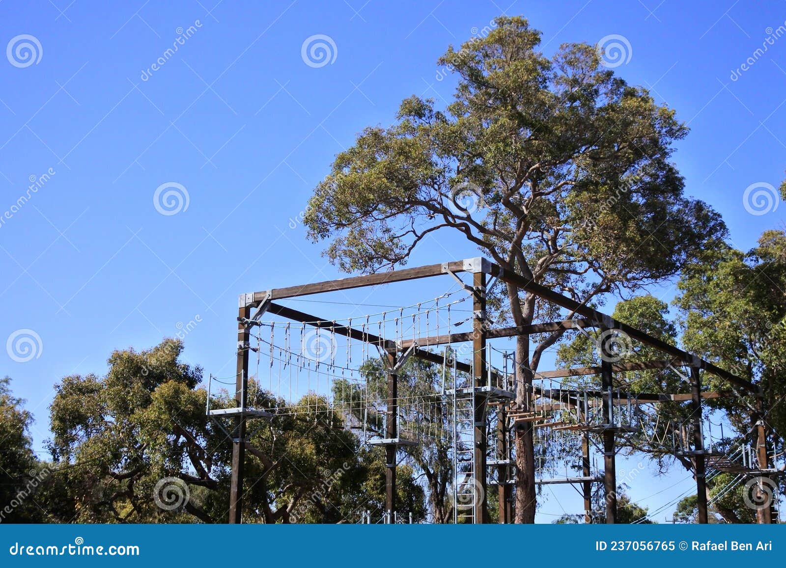 Outdoor Adventure Treetop Crossing Obstacles Course Stock Image - Image ...