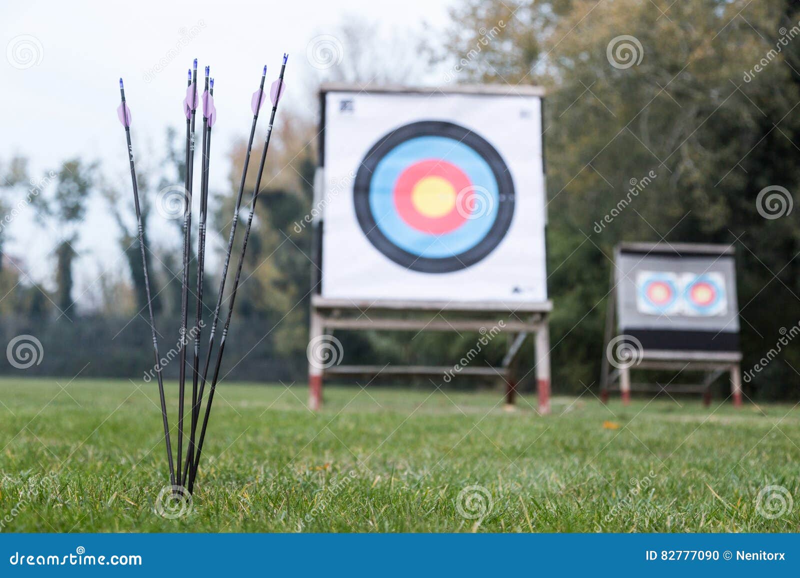 Outdoor Archery Targets on Grass Field Surrounded by Forest. Stock ...