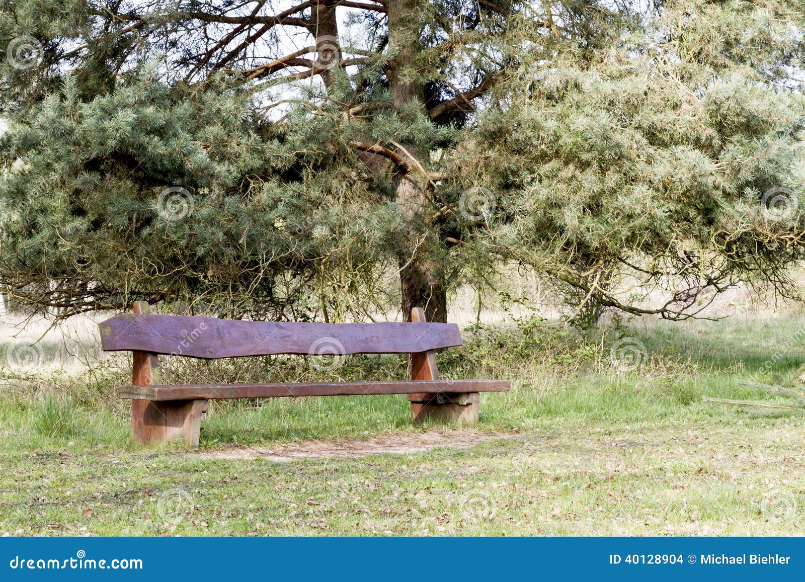 Outdoor Bench with Tree in Background Stock Photo - Image of seat ...