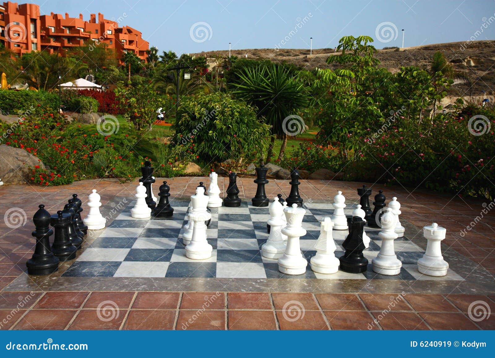 Outdoor Big Chass in Garden Stock Image - Image of play, mate: 6240919