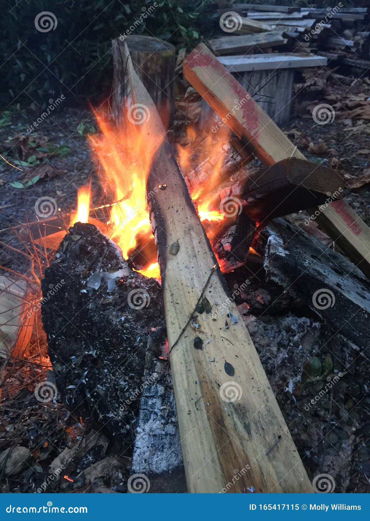 Fall bonfire stock image. Image of fall, outdoor, flames - 165417115