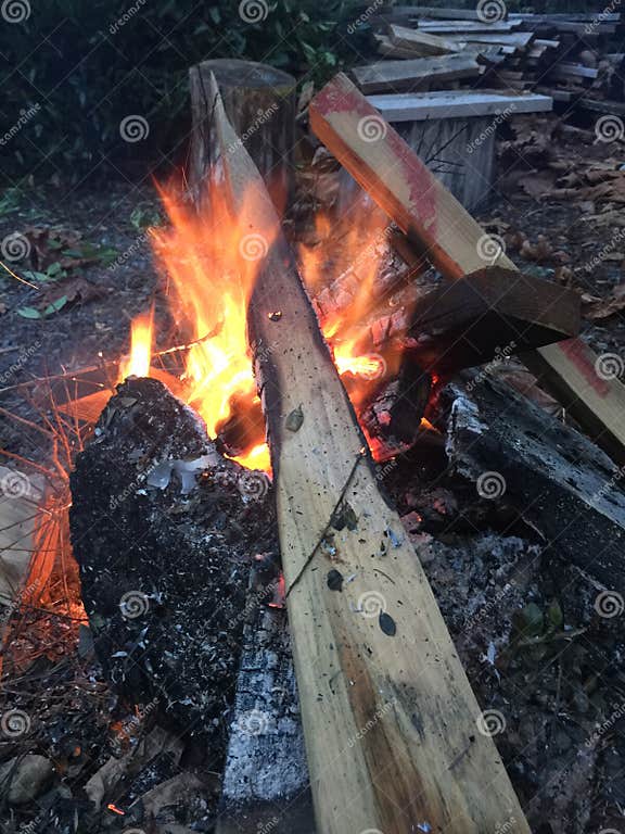 Fall bonfire stock image. Image of fall, outdoor, flames - 165417115