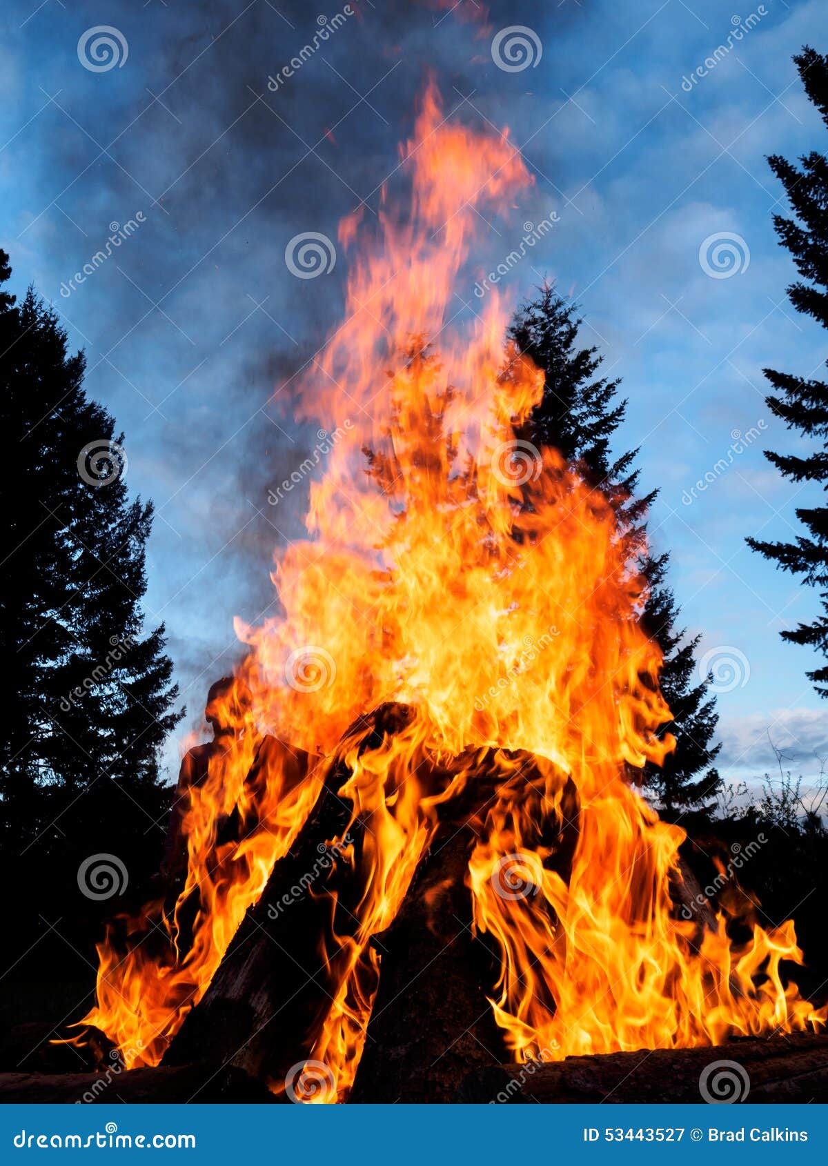 Outdoor bonfire stock image. Image of danger, forest - 53443527