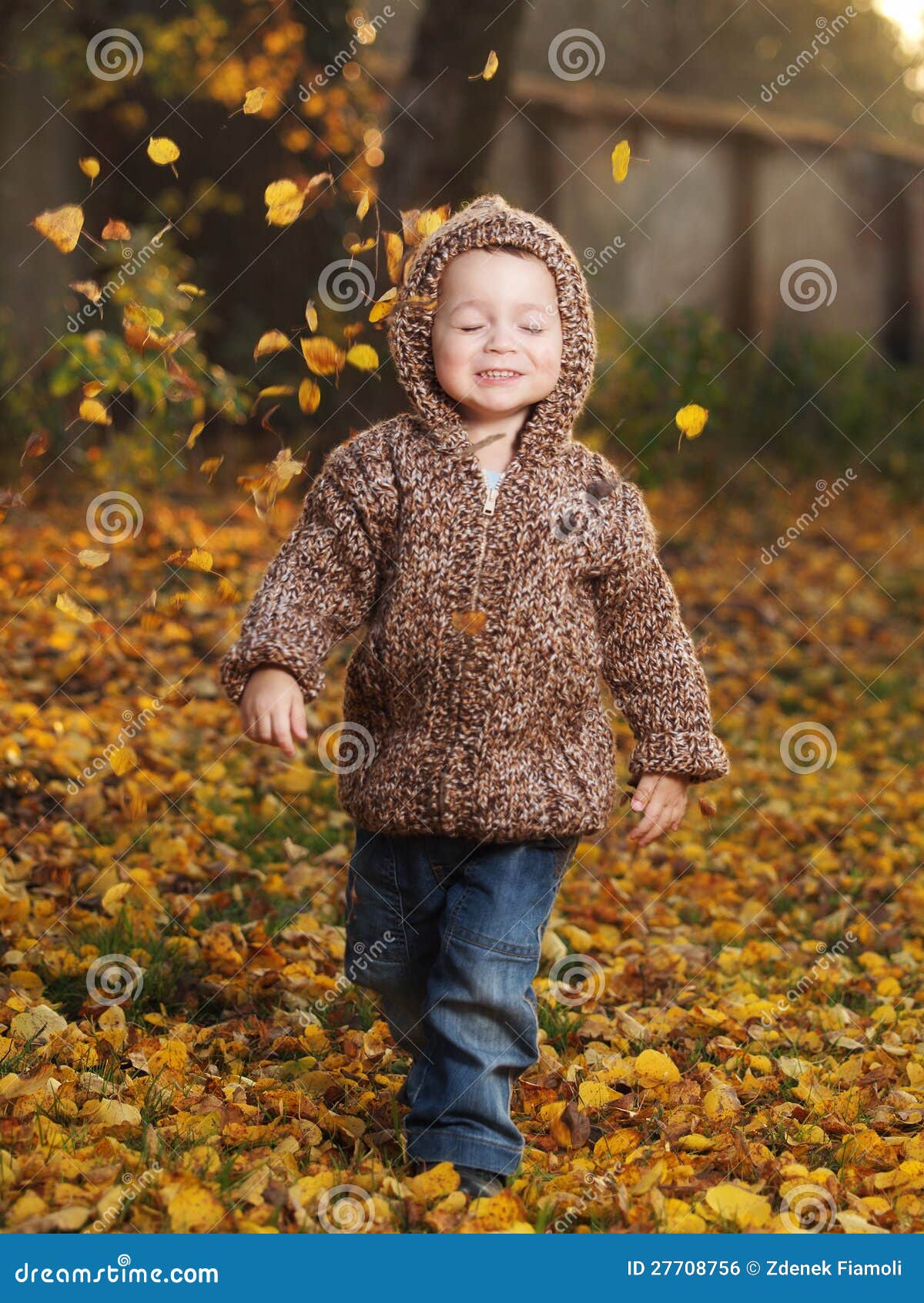 Outdoor boy stock photo. Image of autumn, outdoor, leaf - 27708756