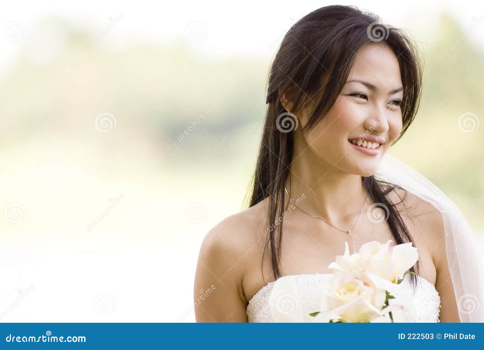 Outdoor Bride 3 stock image. Image of singapore, special - 222503