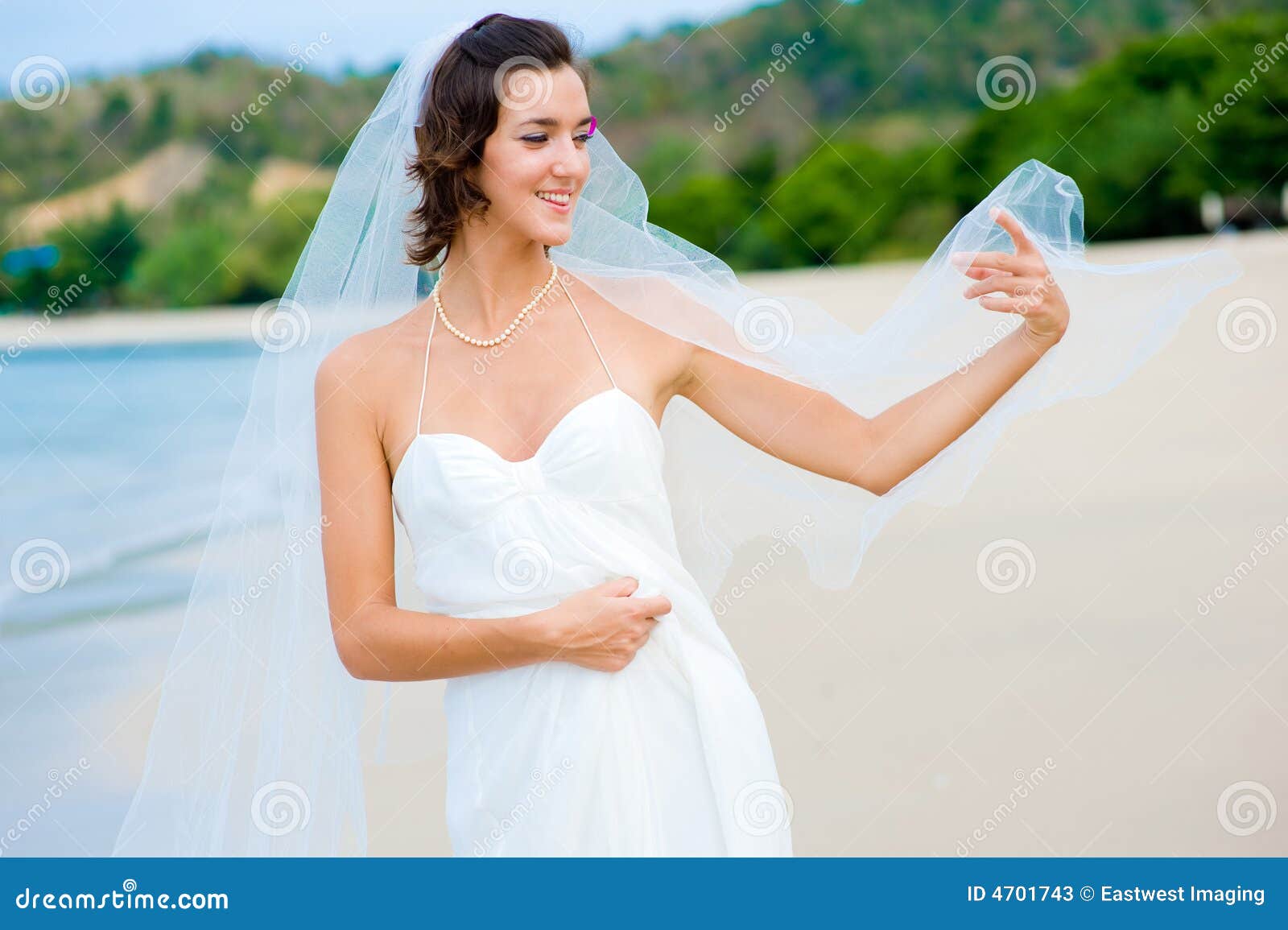 Outdoor Bride stock image. Image of orchid, attractive - 4701743