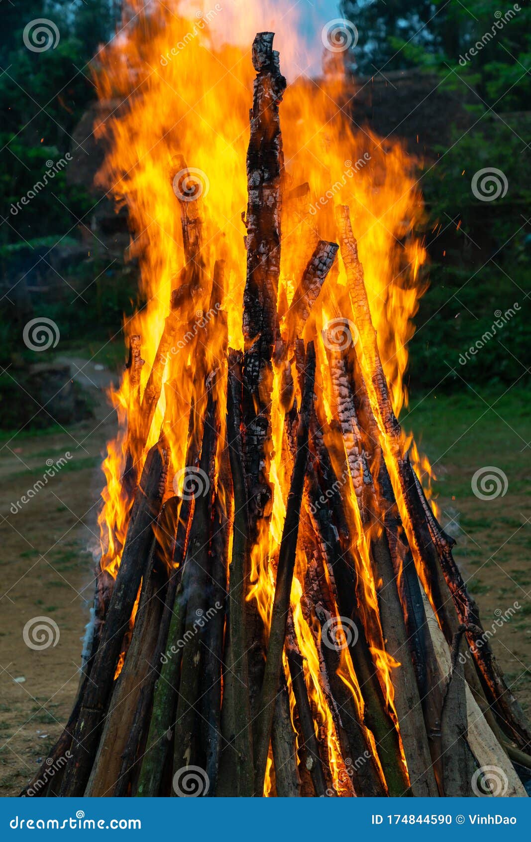 Outdoor Camp Fire Burning at Blue Hour or Twilight Stock Photo - Image ...