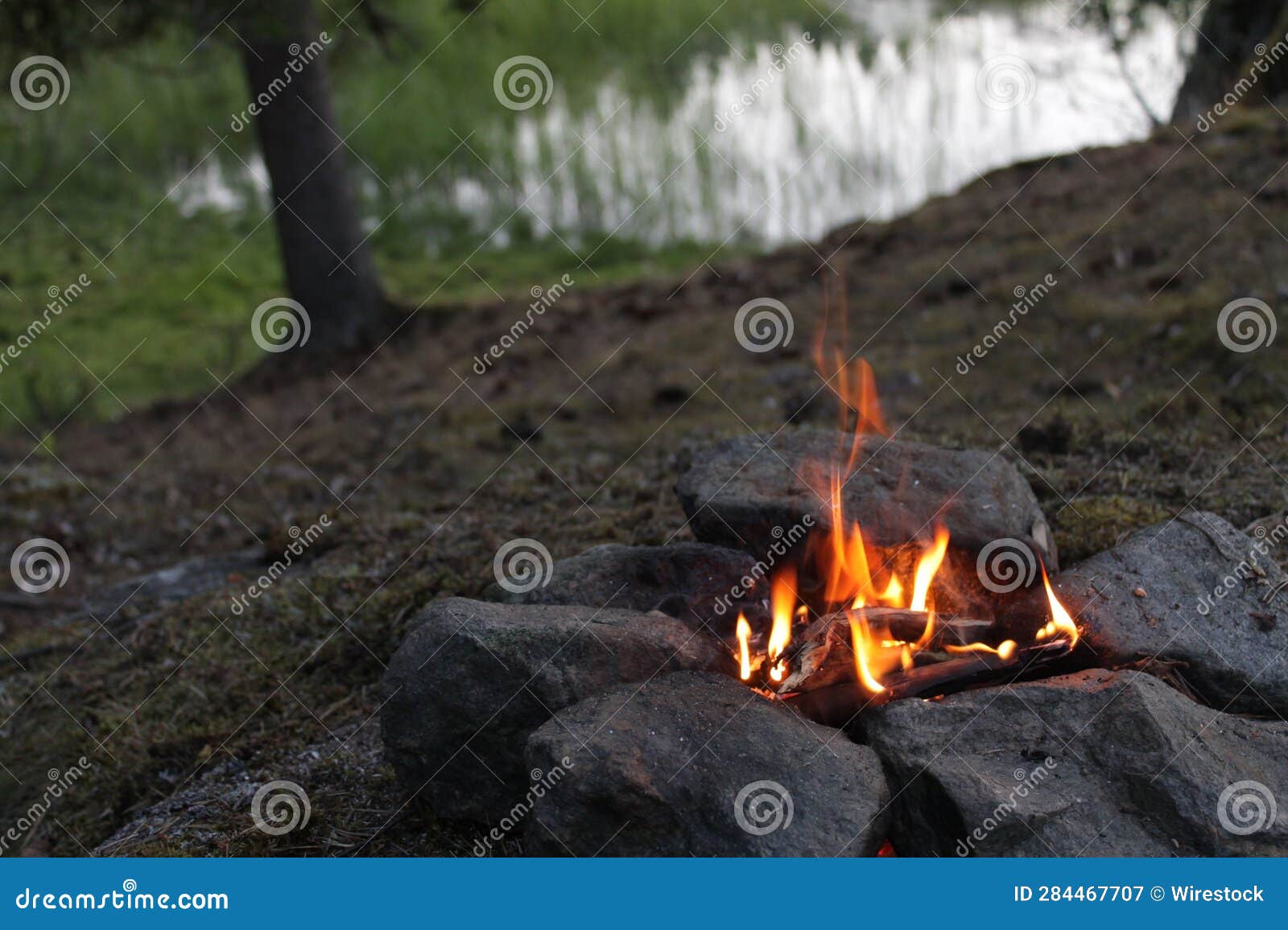 Outdoor Campfire in a Forest Next To a Lake Stock Image - Image of ...