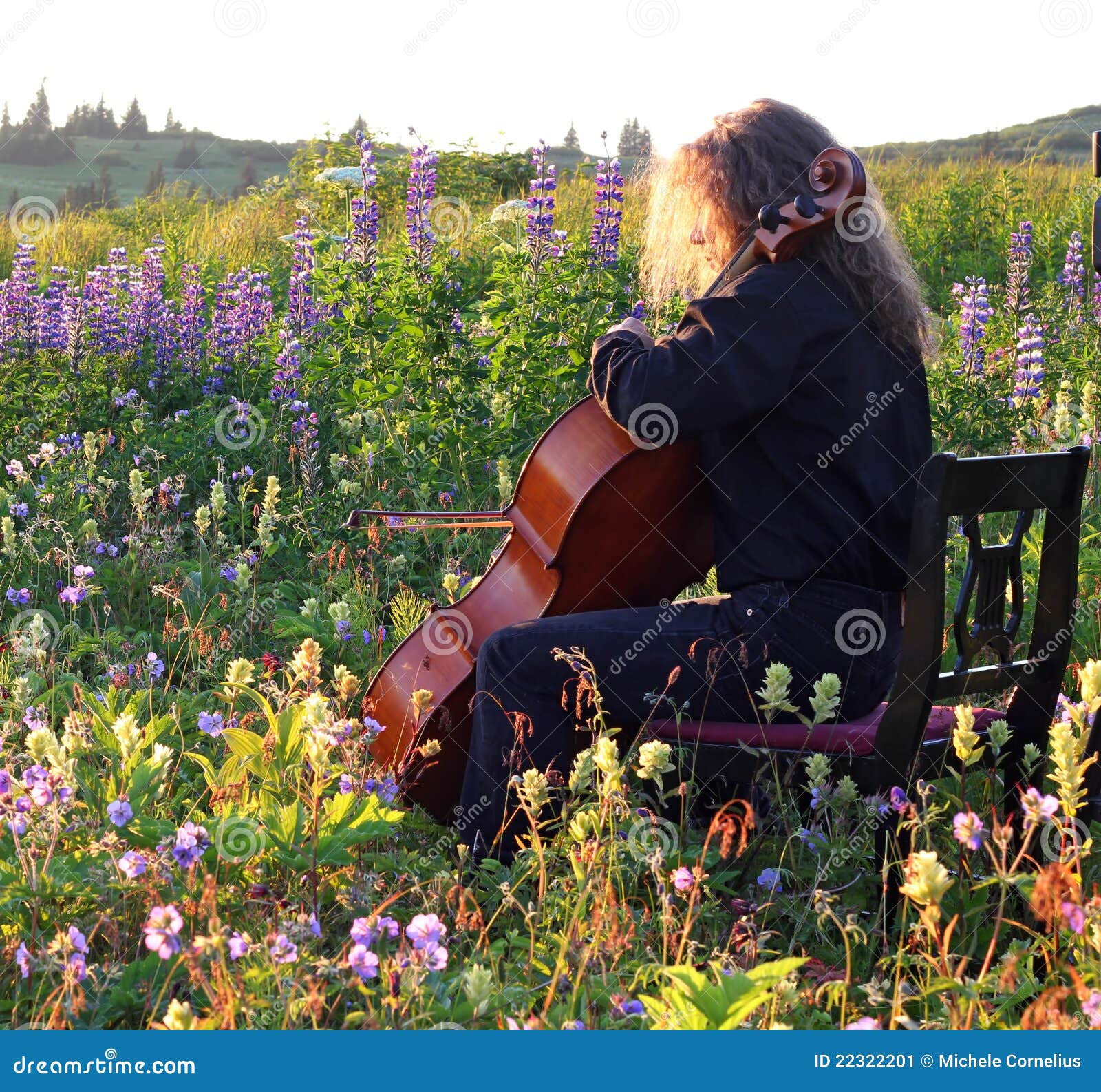 Outdoor Cello Practice in Spring Stock Image - Image of person, playing ...