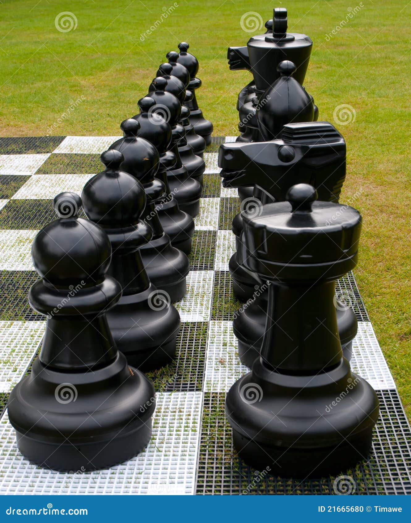 Outdoor Chess Set stock photo. Image of grass, rank, knight - 21665680